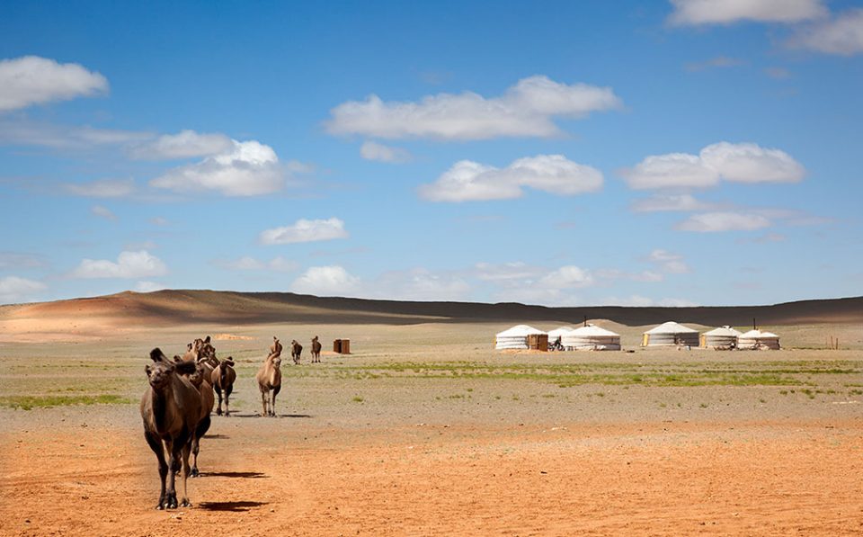 Using the Great Green Wall of China to Halt Desertification in Gobi ...
