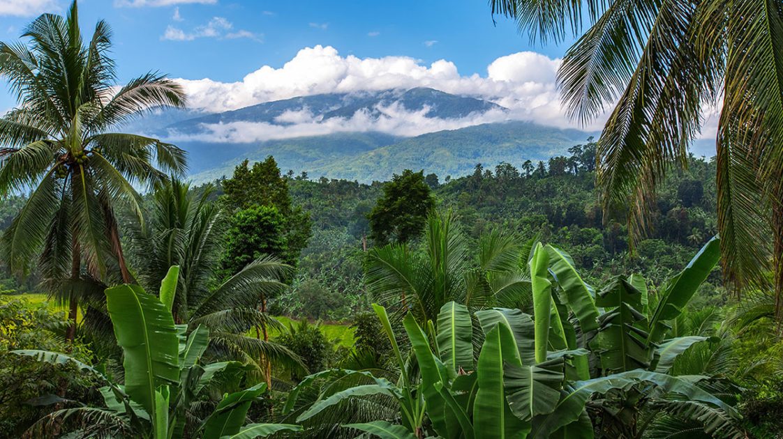 Community-Based Forest Management in the Philippines ｜ Adaptation ...